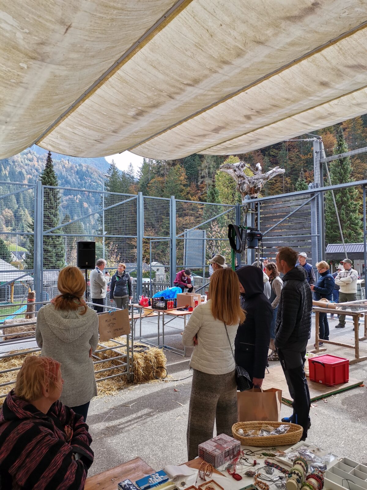 Festival Bicka 2023 – LAS Zgornje Savinjske in Šaleške doline