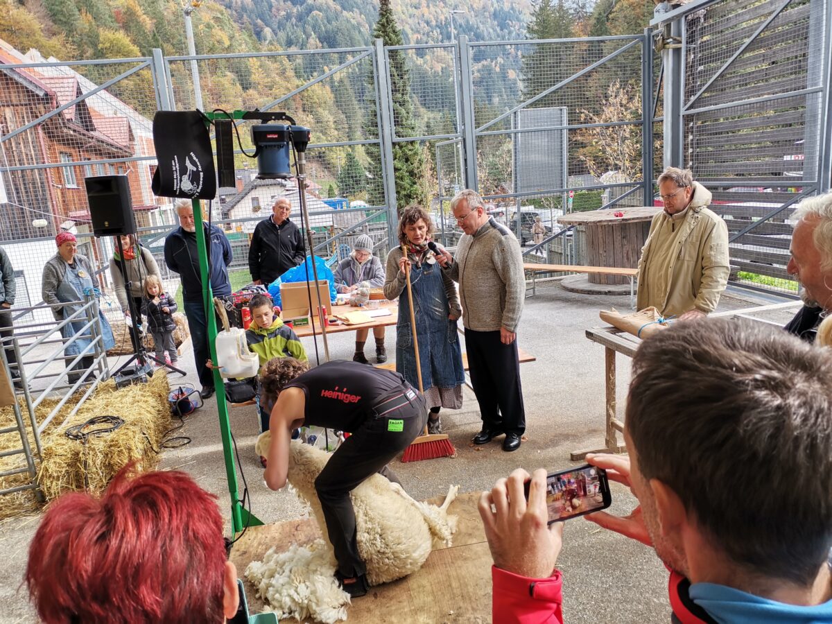 Festival Bicka 2023 – LAS Zgornje Savinjske in Šaleške doline